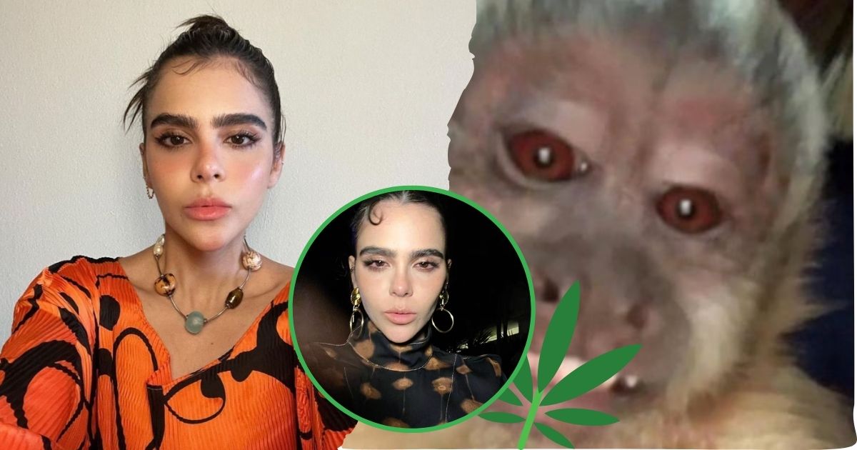 Foto de Yuya “pacheca” desata ola de memes en redes sociales ... Foto de Yuya “pacheca” desata ola de memes en redes sociales ...