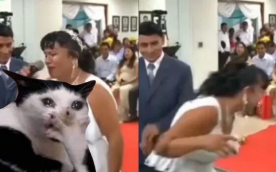"Perdónenme todos, no acepto": La verdad detrás del meme - Infórmate y más